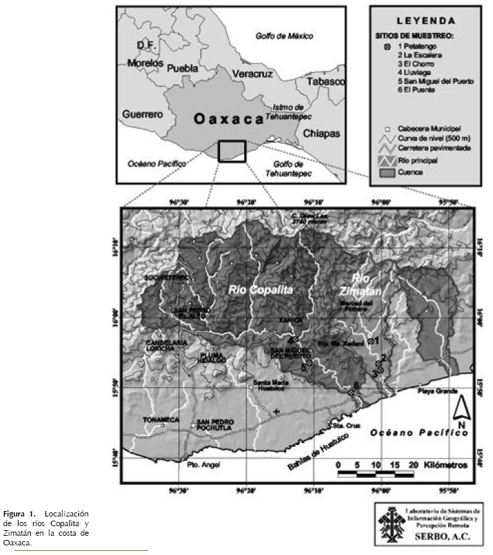 Sitios utilizados por la nutria neotropical en una selva baja ...