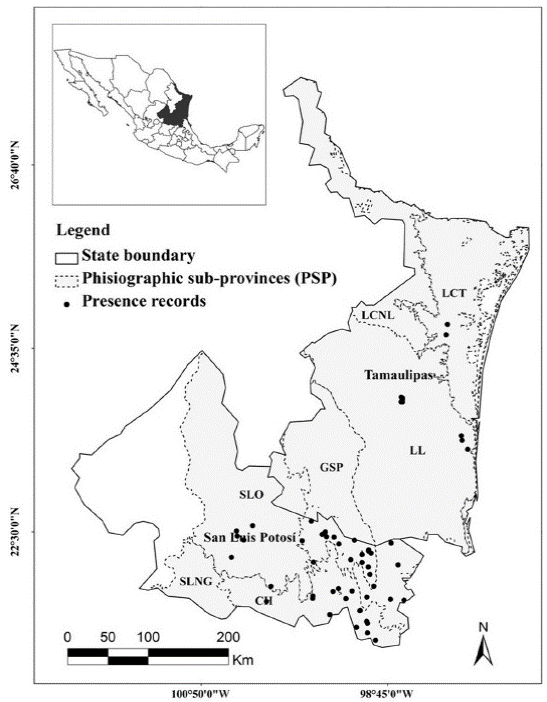 Potential distribution of the ocelot ( Leopardus pardalis) in ...