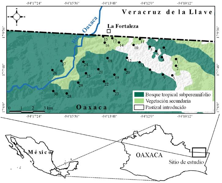 Abundancia relativa y patrones de actividad de los felinos silvestres ...