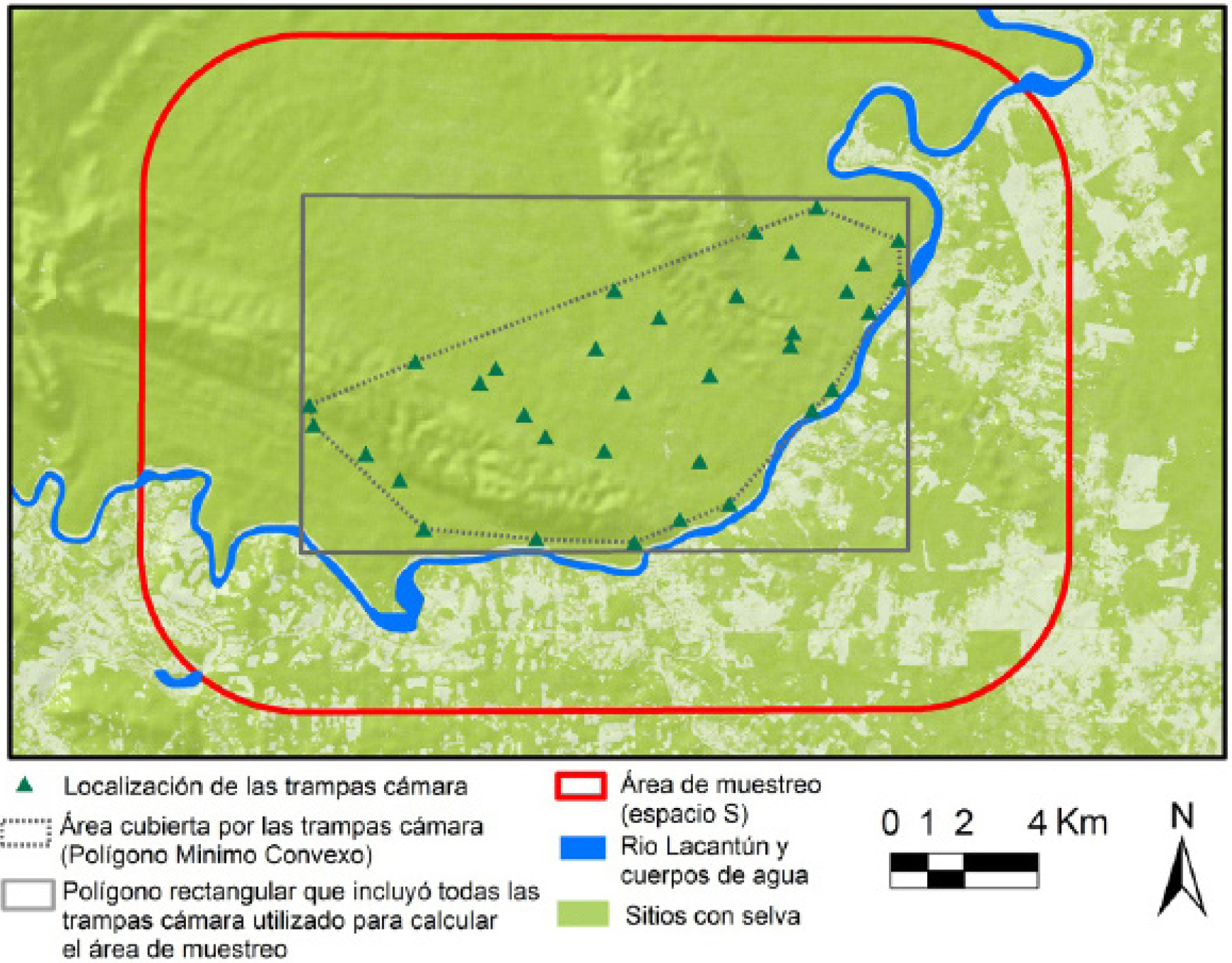Densidad y patrones de actividad del ocelote en la selva Lacandona