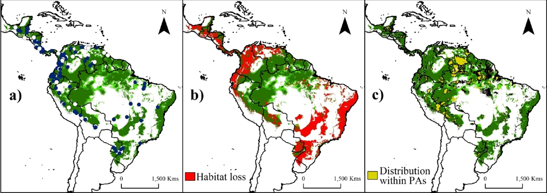 Estimating the potential distribution and conservation priorities of ...