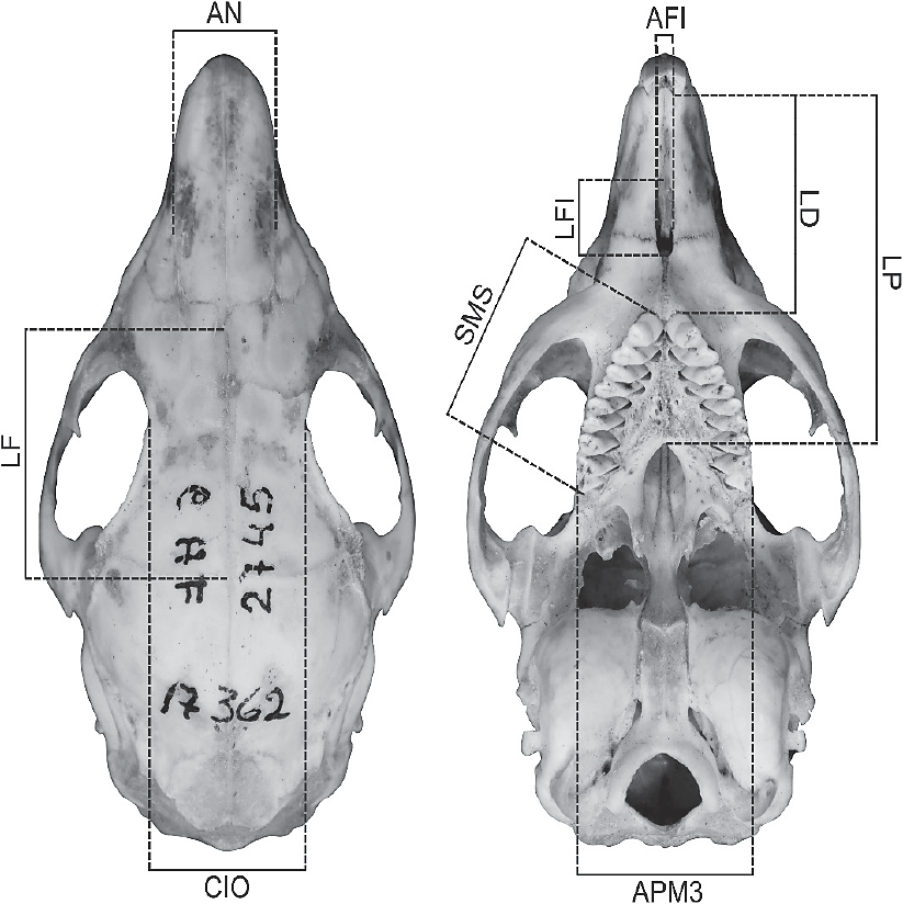 Is Galea tixiensis Quintana, 2001 a synonym of G. leucoblephara ...
