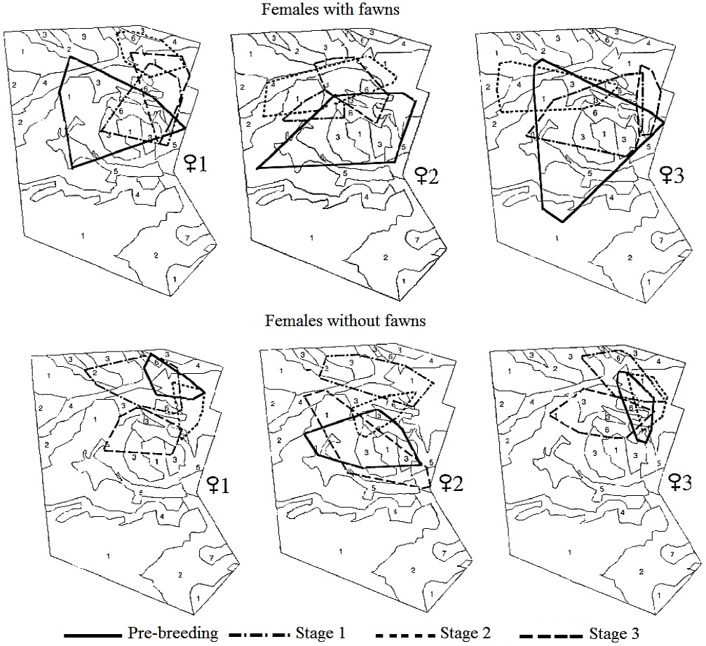 Home-range analyses and habitat use by white-tailed deer females during ...