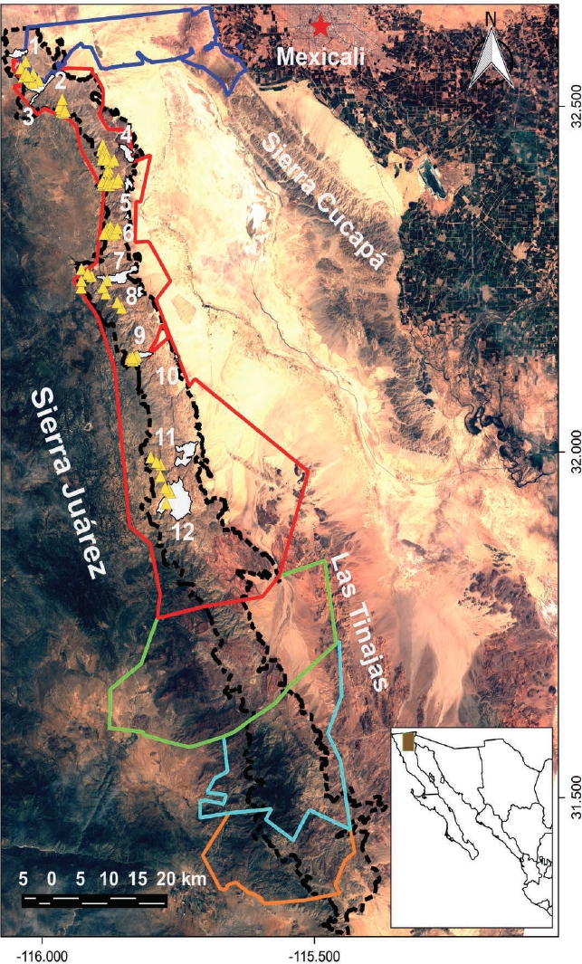 Potential distribution model of Ovis canadensis in northern Baja ...
