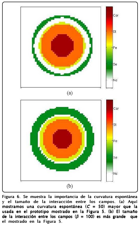 Modelo de diferenciación celular en la floración de Arabidopsis thaliana