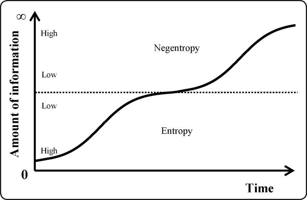 On the nature of evolution: an explicative model