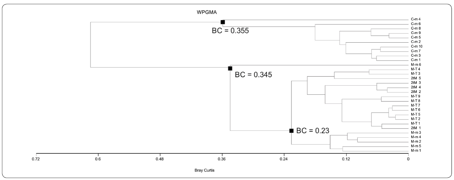 Microbialite-dominated fossil associations in Cipit Boulders from Alpe ...