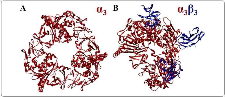 Estructura y función de las oxigenasas tipo Rieske/mononuclear