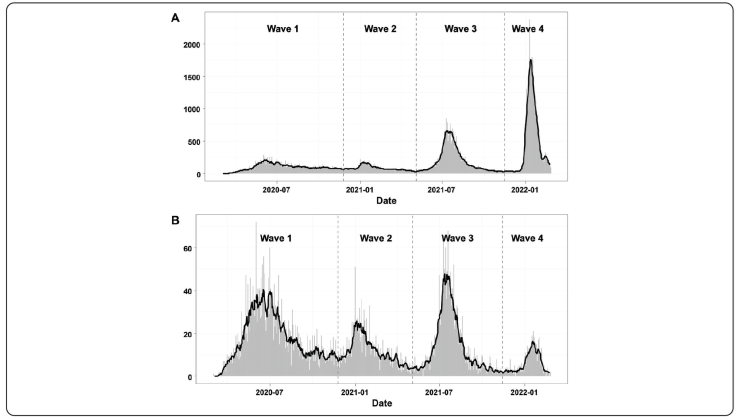 SARS-CoV-2 variants and associated cases during four epidemic waves in ...