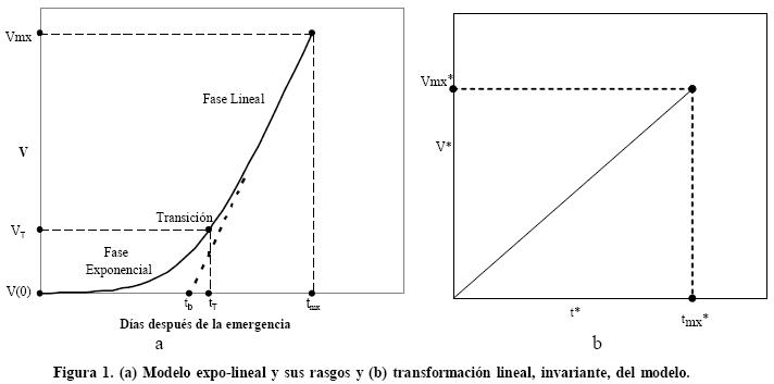 Modelo expo-lineal del crecimiento y equivalencia de la productividad ...