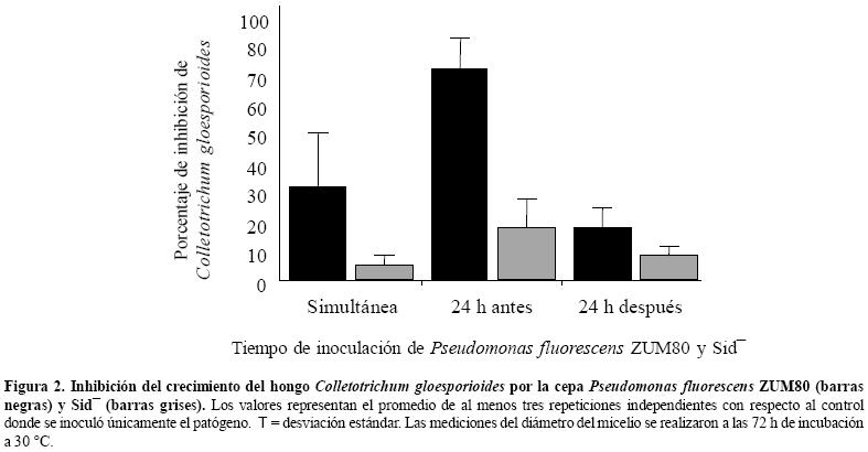 Papel de los sideróforos en la actividad antagónica de Pseudomonas ...