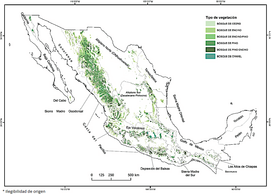 Almacén y dinámica del carbono orgánico del suelo en bosques templados ...