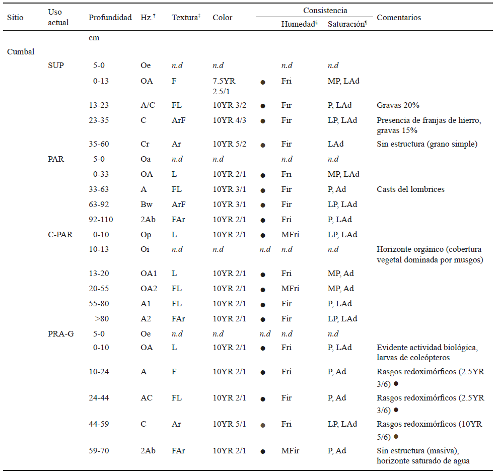 Propiedades morfológicas de los suelos asociadas a los ecosistemas de ...