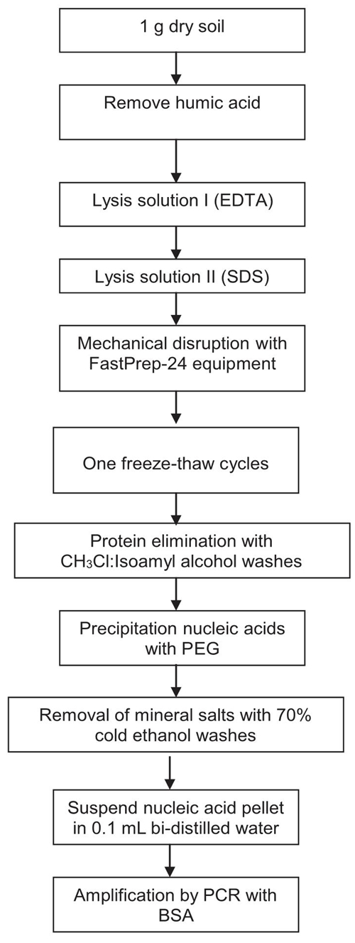 An improved method for extraction of microbial DNA from alkaline-saline ...