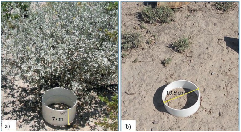 Influencia de las biocostras en el flujo de CO2 en el matorral ...