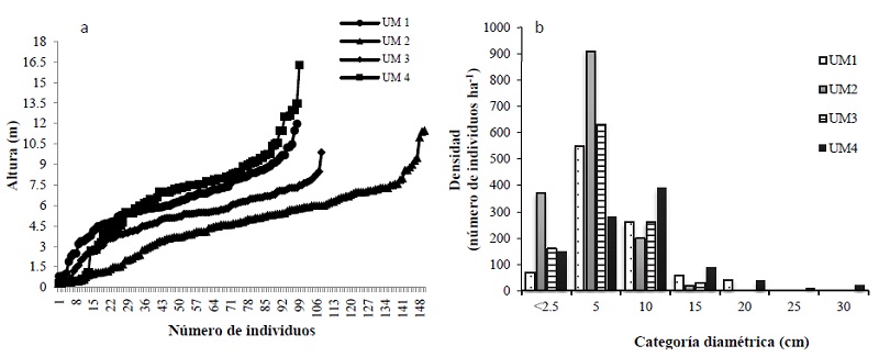 Estructura poblacional y fenología de cuachalalate (Amphipterygium ...