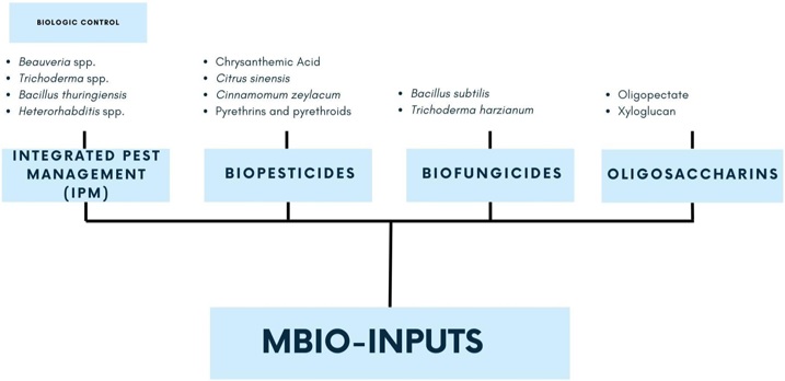 Bio-inputs: An Alternative to Achieve Sustainable Agriculture