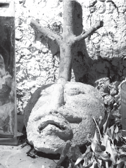 La medicina tradicional maya: ¿Un saber en extinción?