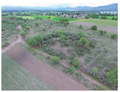 Un suburbio de Teotihuacan: Nuevas investigaciones en el barrio de ...