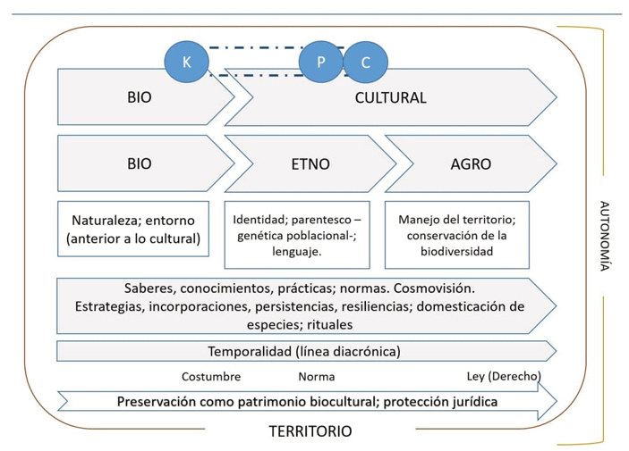 Sobre la necesidad del reconocimiento legal del concepto de patrimonio ...