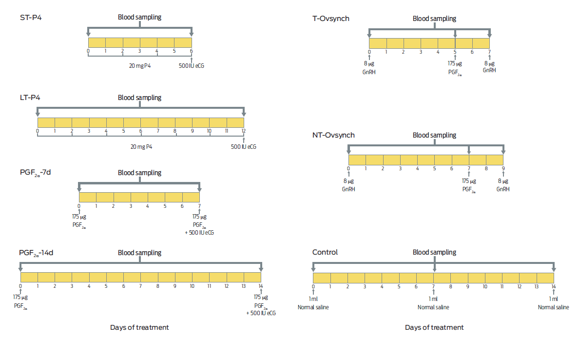 Comparison of estrus response and subsequent fertility following estrus ...