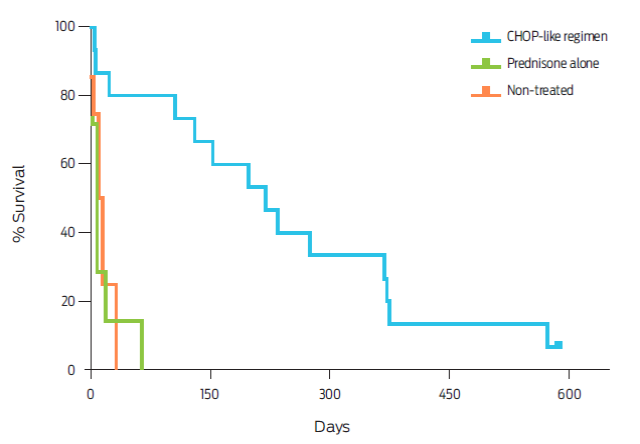 Canine lymphoma: Pathological and clinical characteristics of patients ...