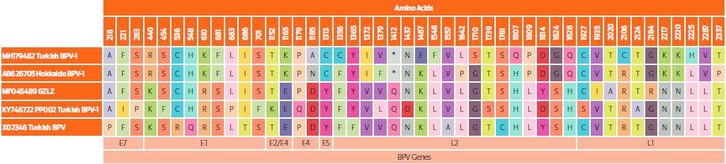 Detection and whole genomic characterization of Bovine Papillomavirus ...