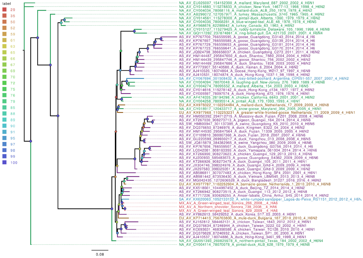 Phylogenetic analysis of avian influenza viruses from migratory ...