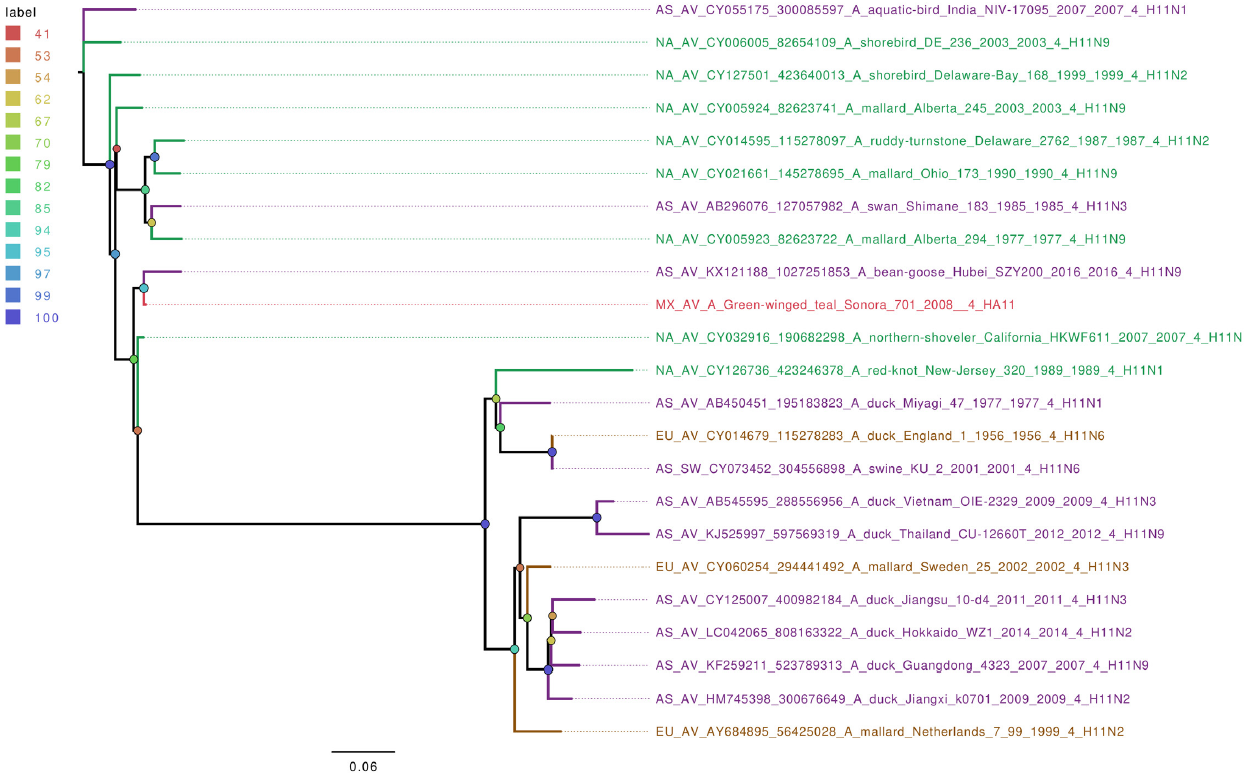 Phylogenetic analysis of avian influenza viruses from migratory ...